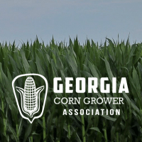 Georgia Corn Growers Renew One-Cent Commodity Assessment – Georgia Corn ...