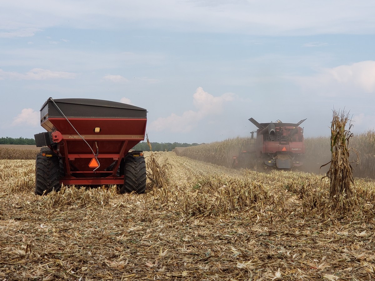 Overall A Great Finish for 2020 Corn. Start Strong on Your 2021 Corn ...